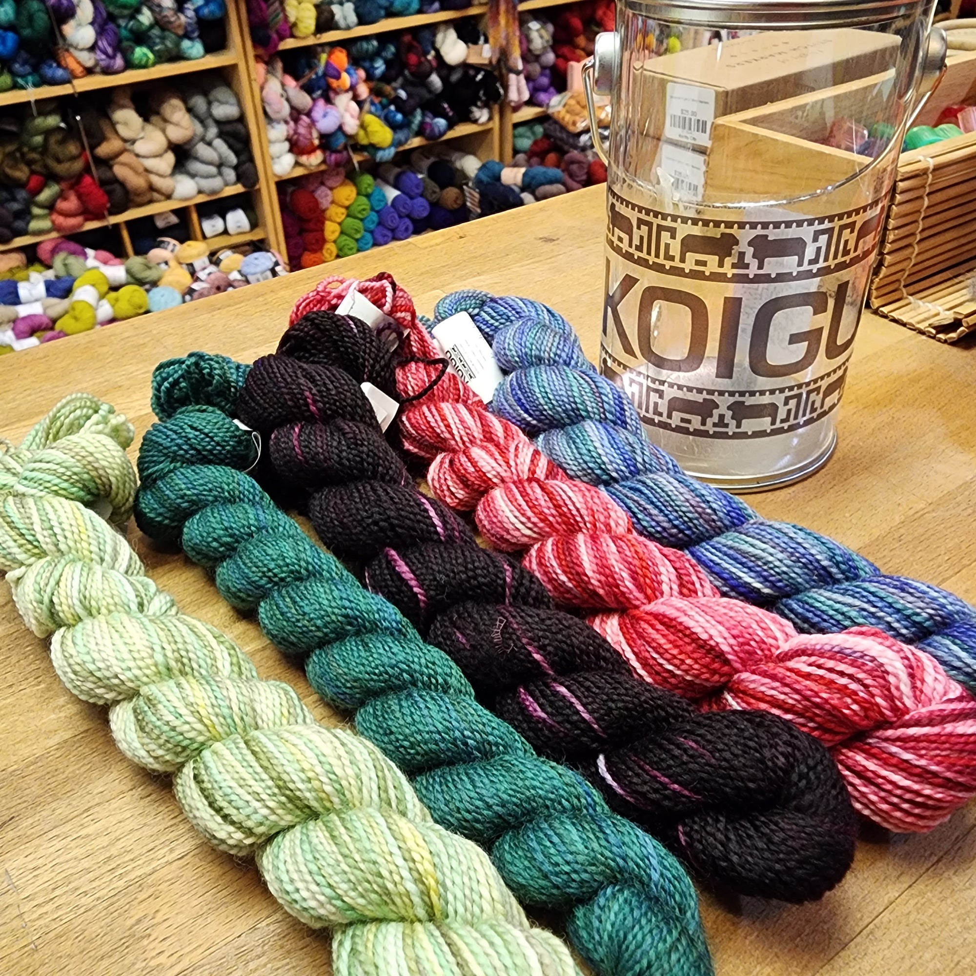 Koigu Paint Cans - Knitty City